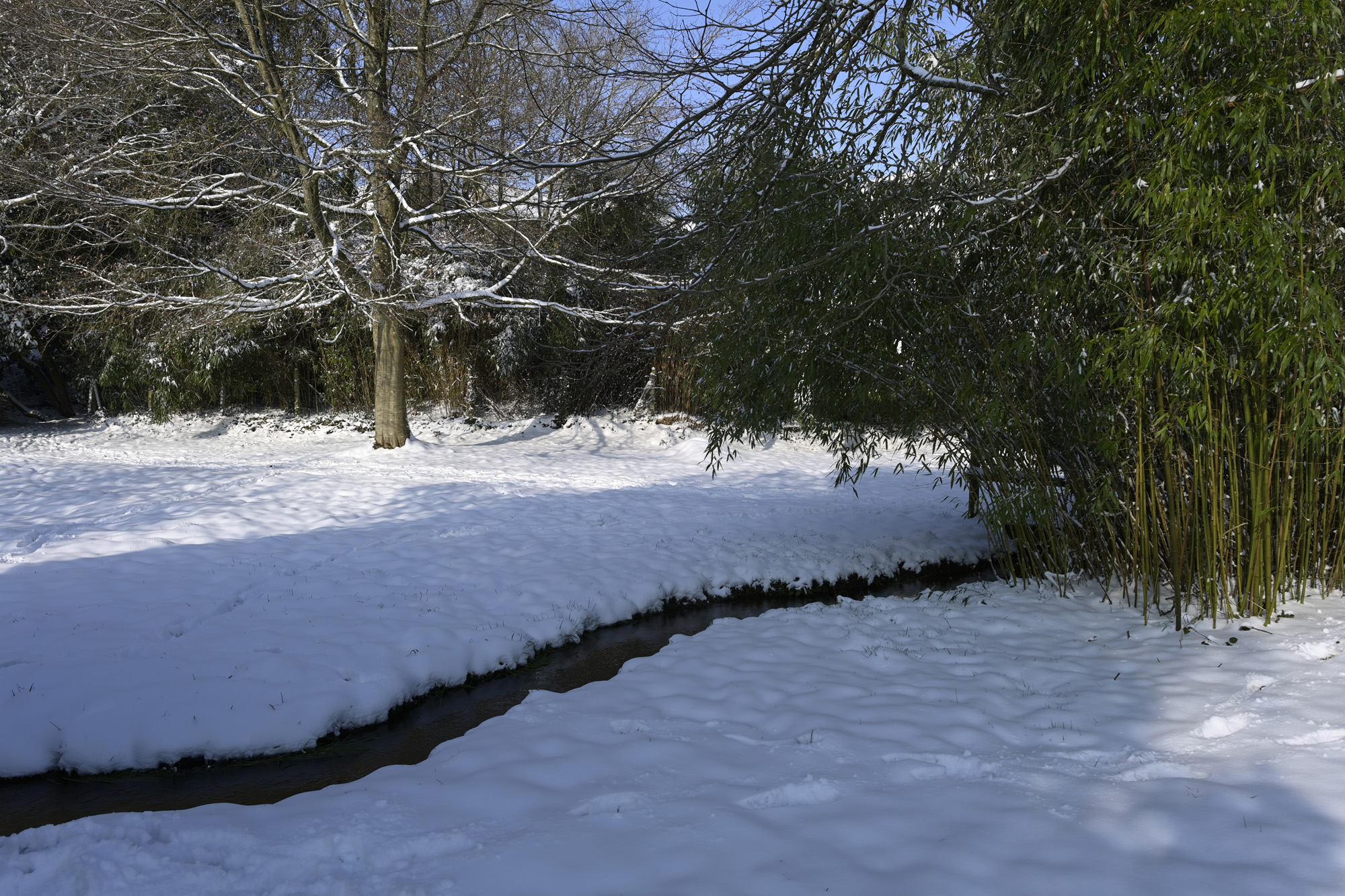 Les Côtes d'Armor sous la neige | Côtes d'Armor le Département