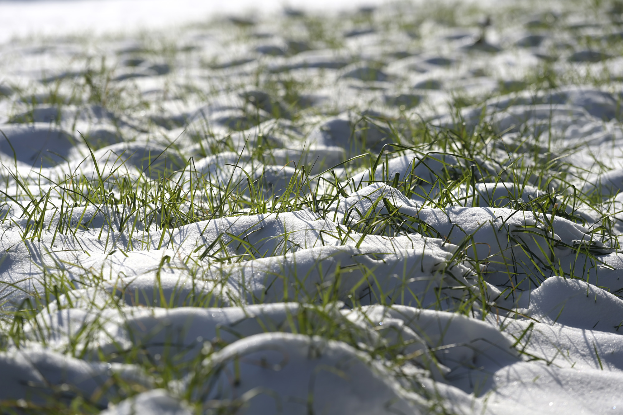 Les Côtes d'Armor sous la neige | Côtes d'Armor le Département