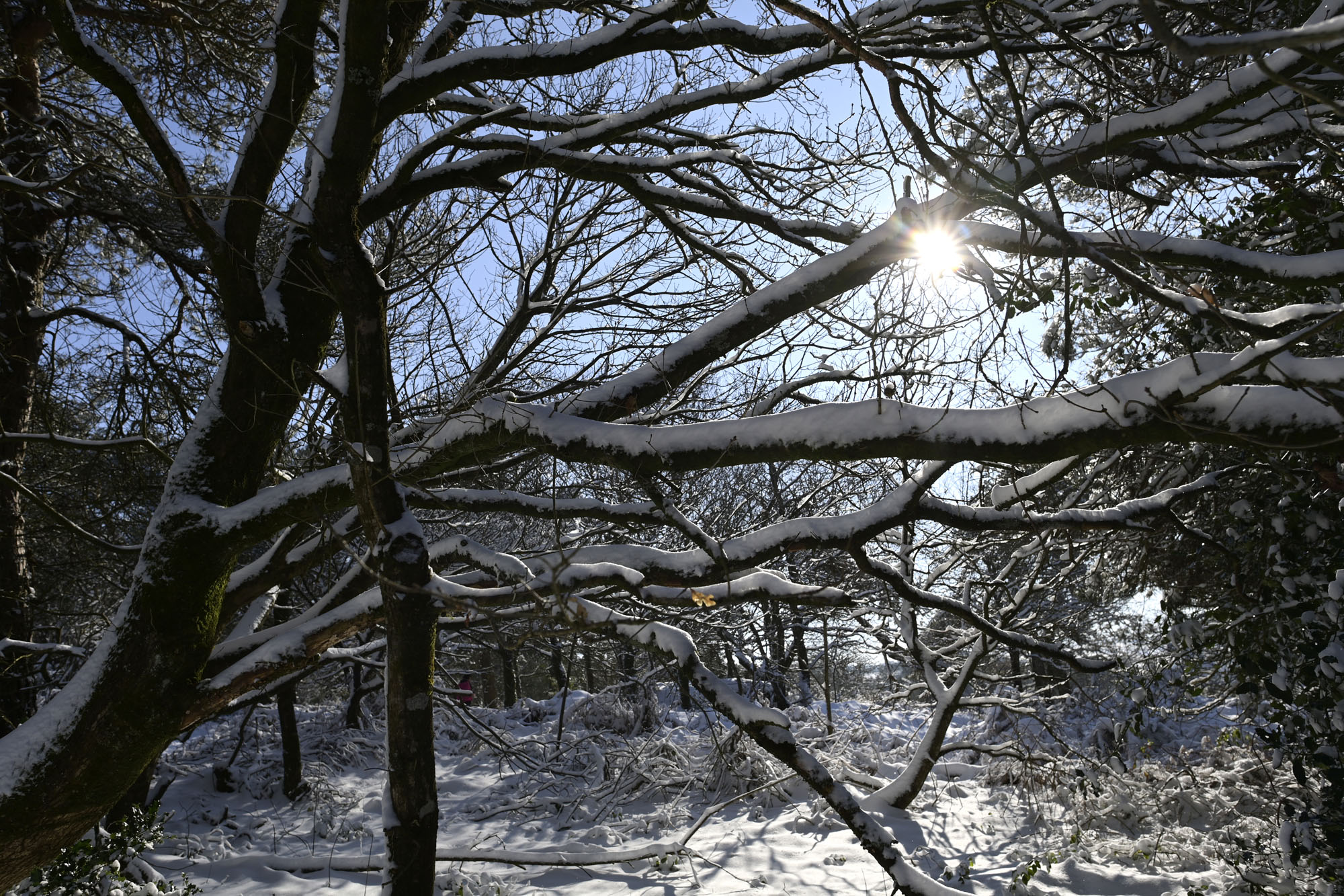 Les Côtes d'Armor sous la neige | Côtes d'Armor le Département
