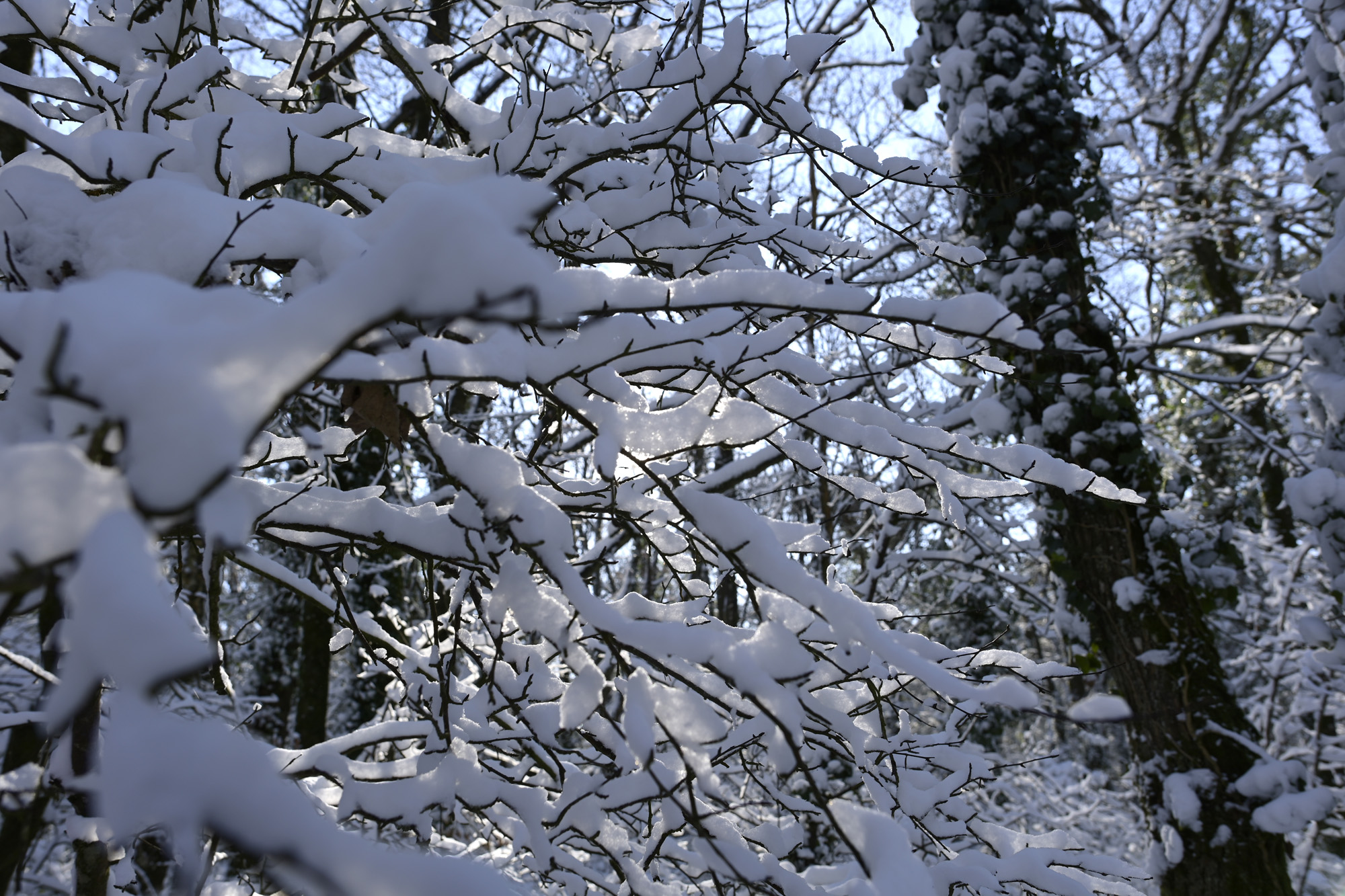 Les Côtes d'Armor sous la neige | Côtes d'Armor le Département