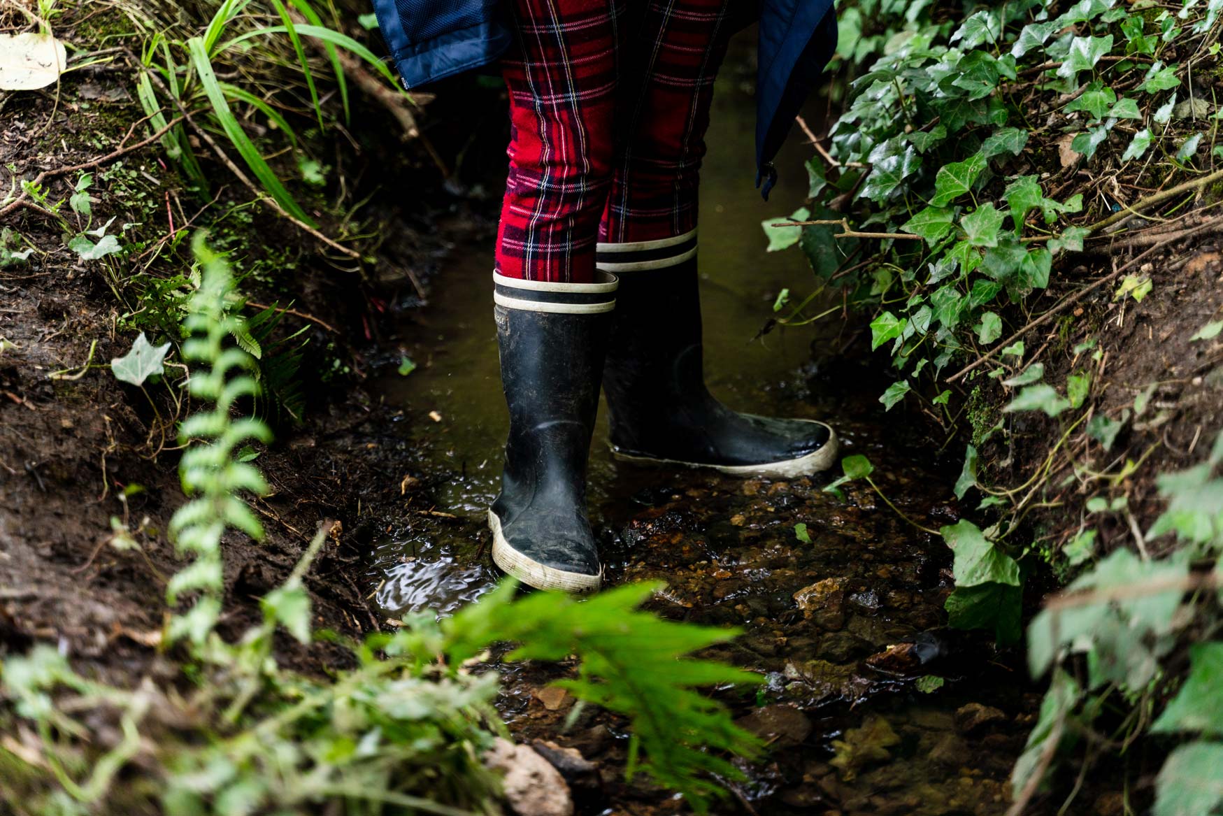 L’école du dehors : apprendre et grandir avec la nature | Côtes d'Armor ...